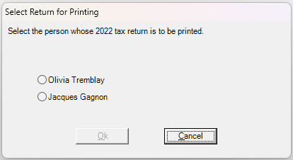 Previewing the Printed Tax Return - Program Help - GenuTax Standard